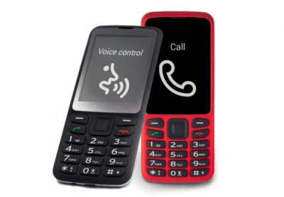 BlindShell Classic - Spektra